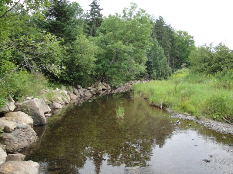 Restoration of Brierly Brook with installation of 16 structures ...